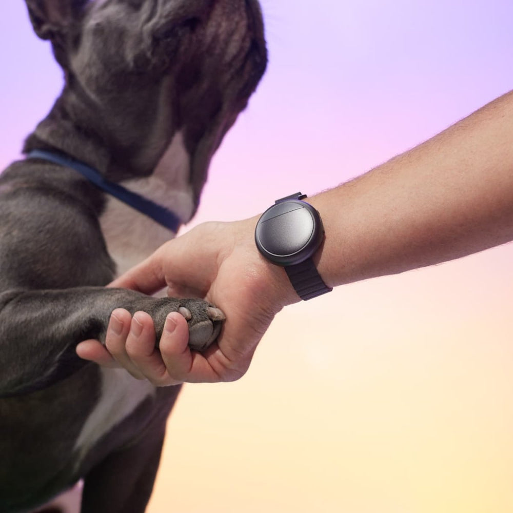 Embr Wave 2 | Embr Labs